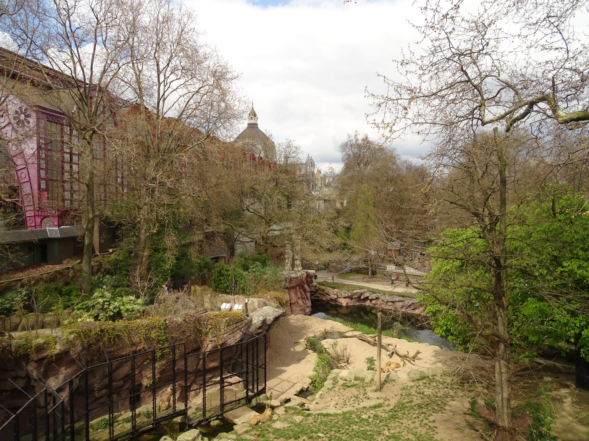 Antwerp Zoo - The Wandering Plantsman